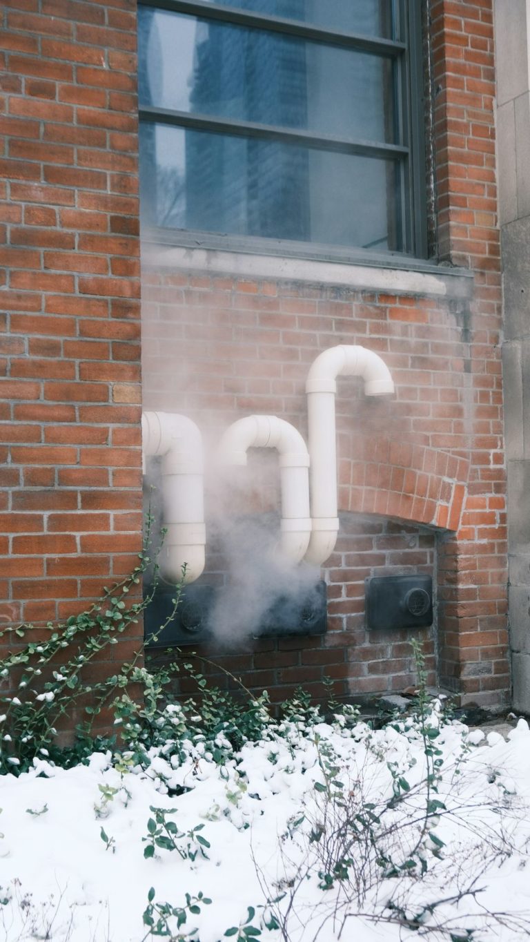 Fakta om Maskar: En djupdykning i deras värld